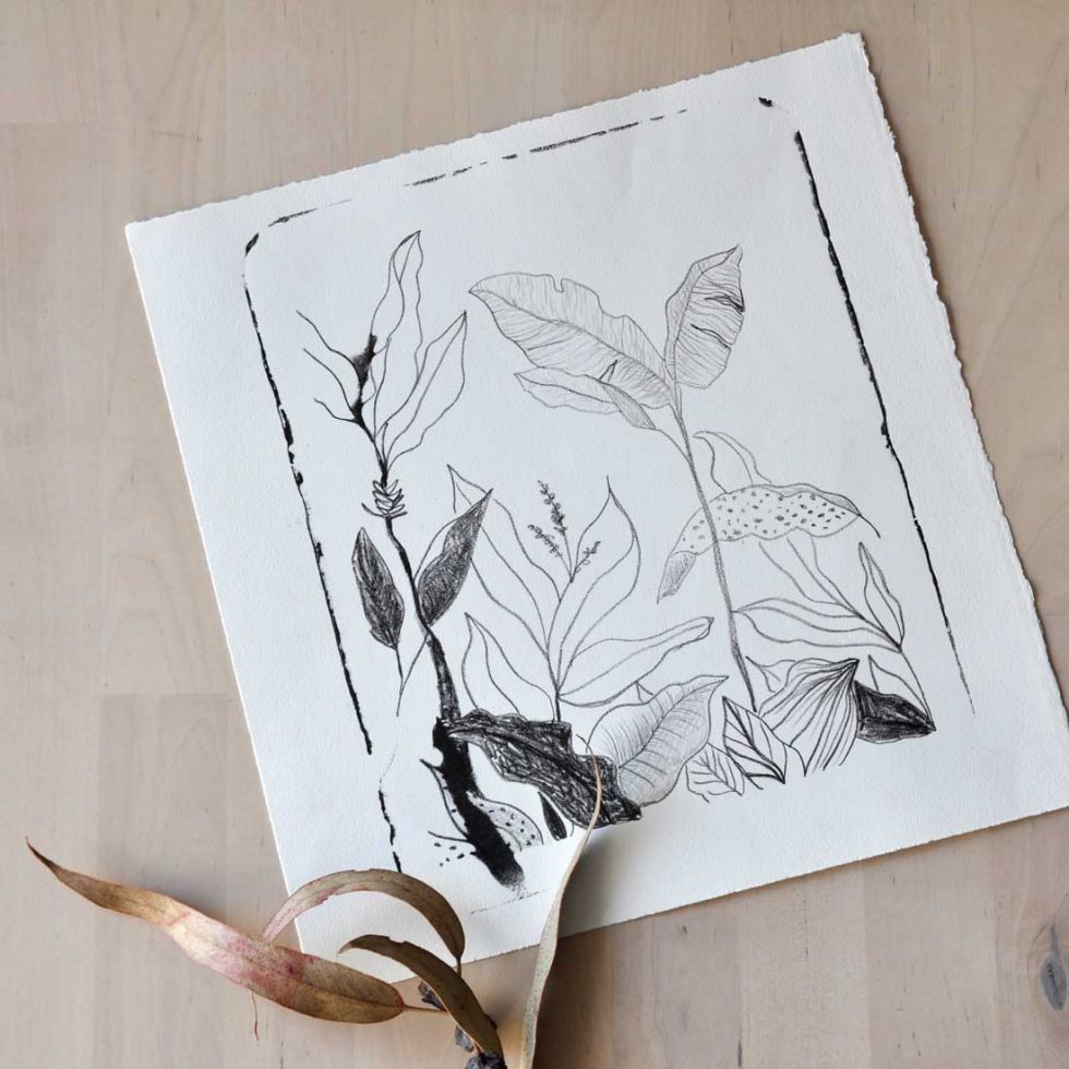 What is a lithograph? Technique, meaning and process | Amacreama